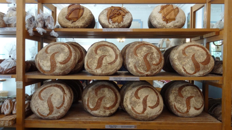 The most famous breads in the world. The pretzel, a "string" of bread.