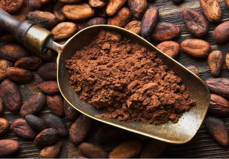 Puratos aduce și în România programul Cacao-Trace